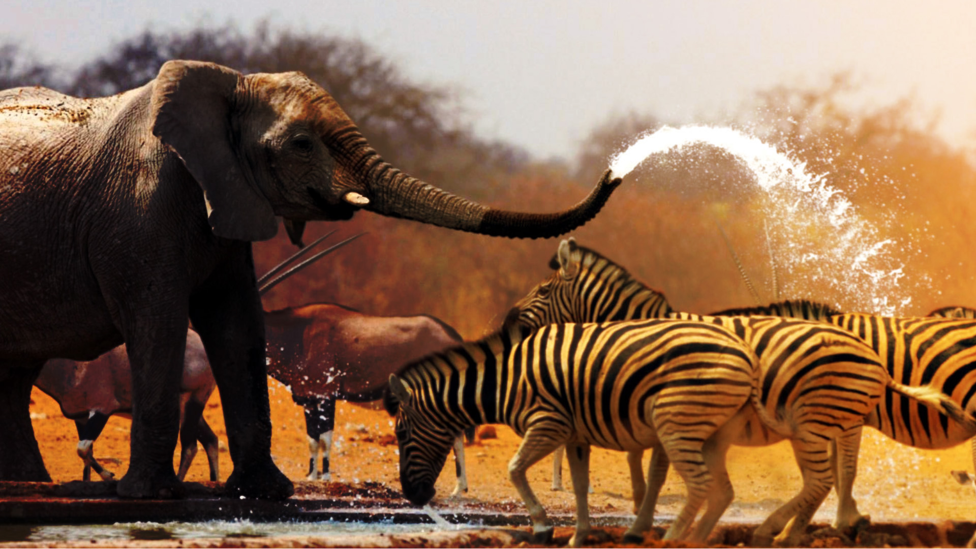 Location – Namibia – 20 Twenty Plus